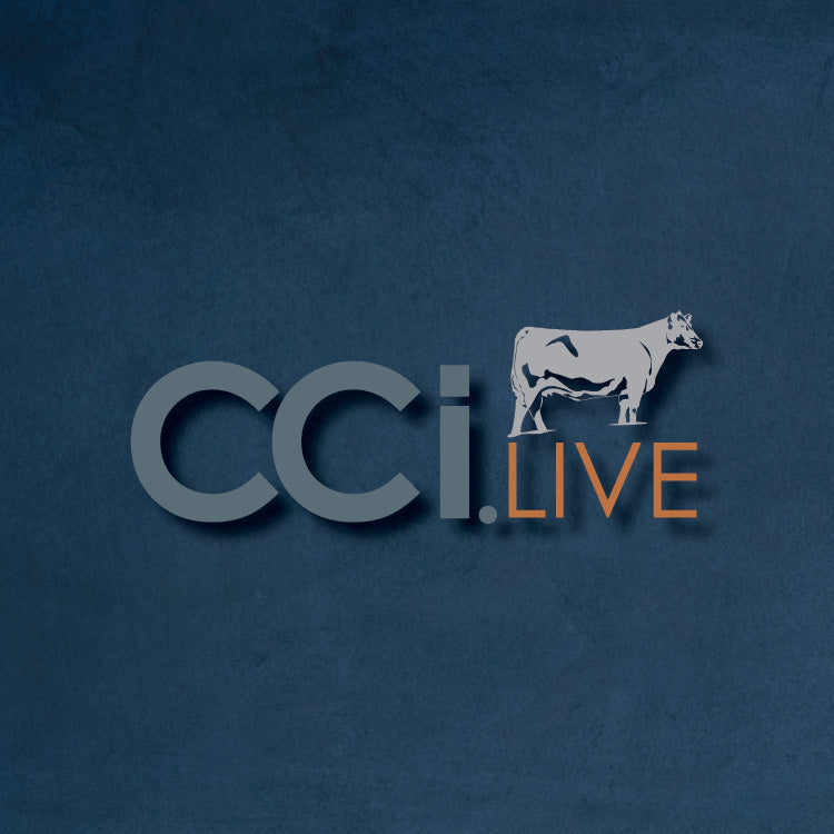 CCI.live – Gear Orders